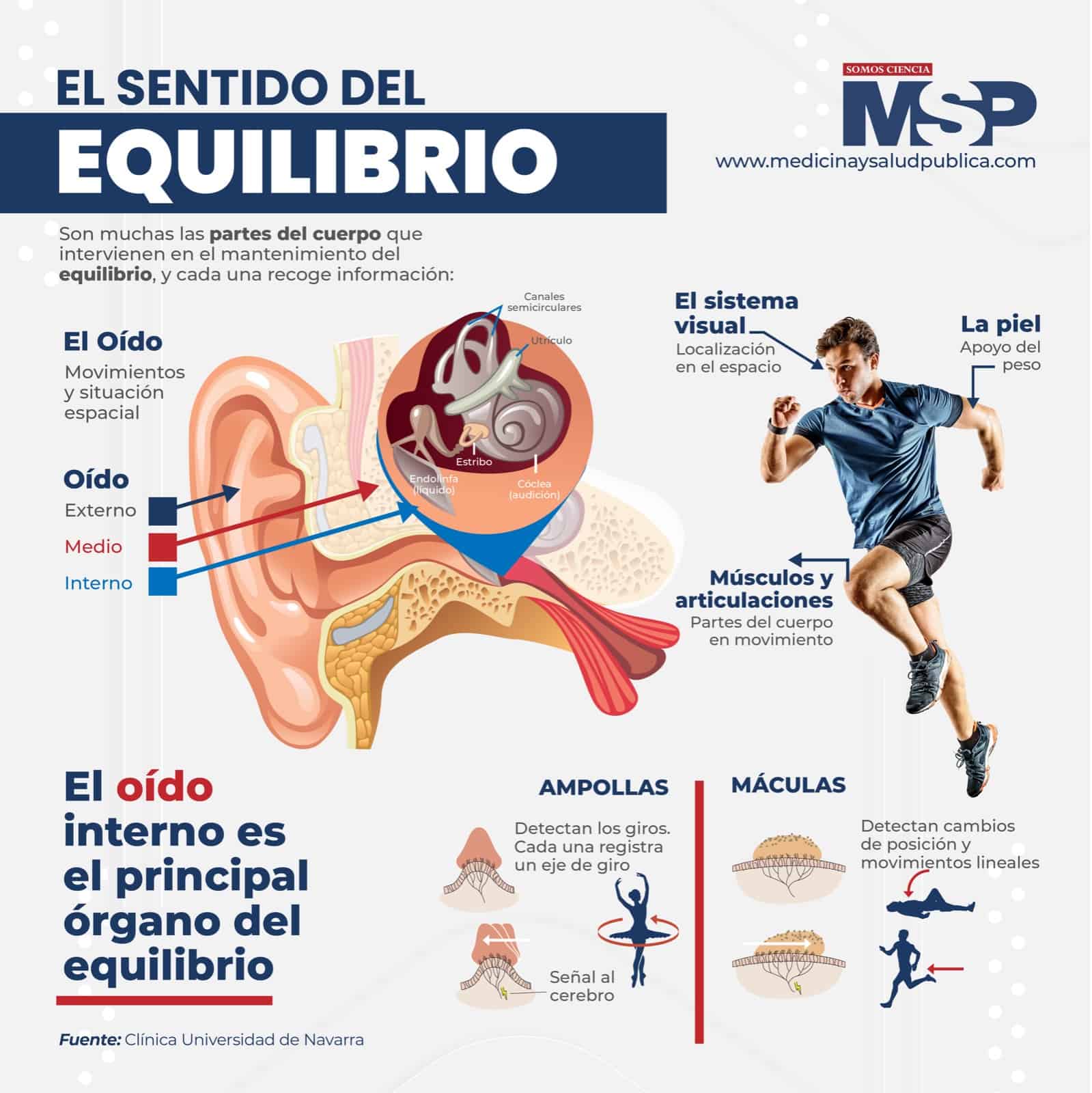 Sentido del equilibrio - Infografía