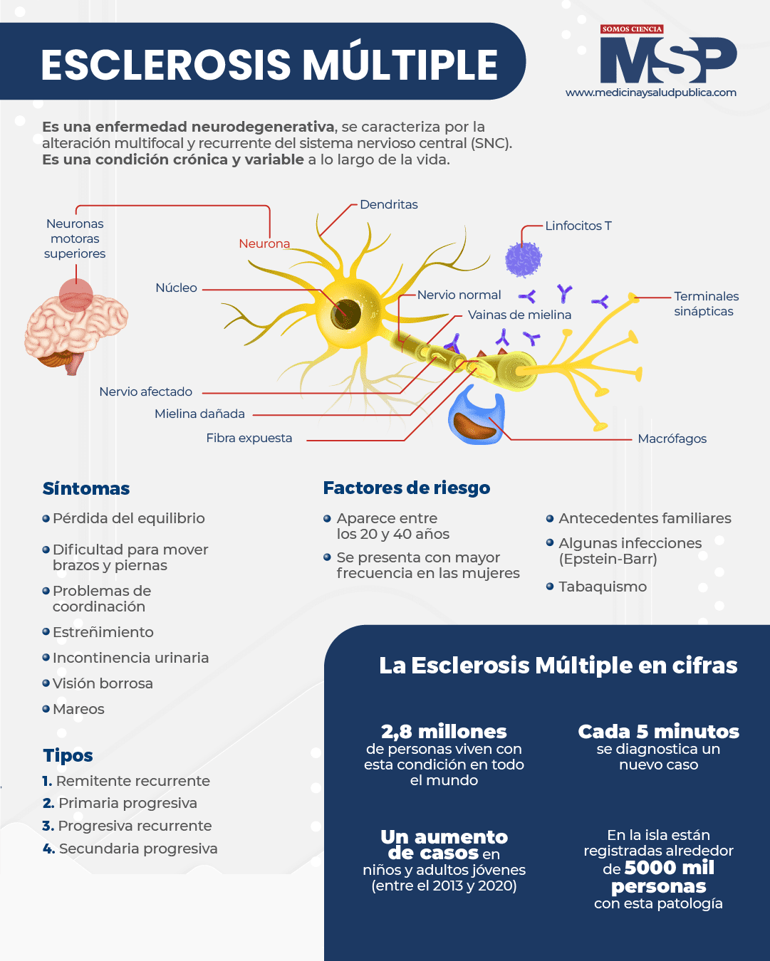 Esclerosis Multiple - Infografías