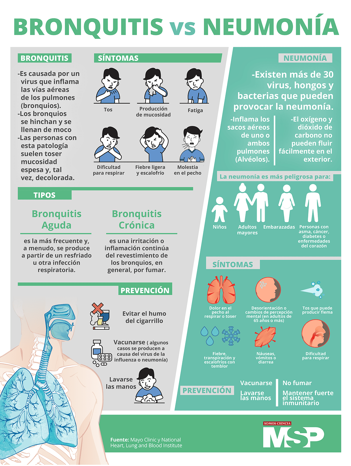 Bronquitis vs Neumonía - Infografía