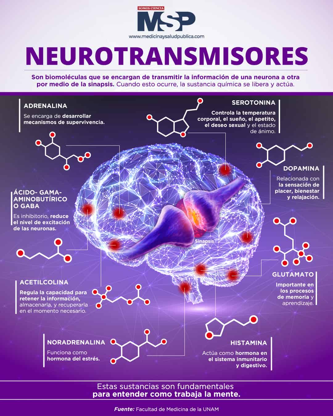Neurotransmisores - Infografía