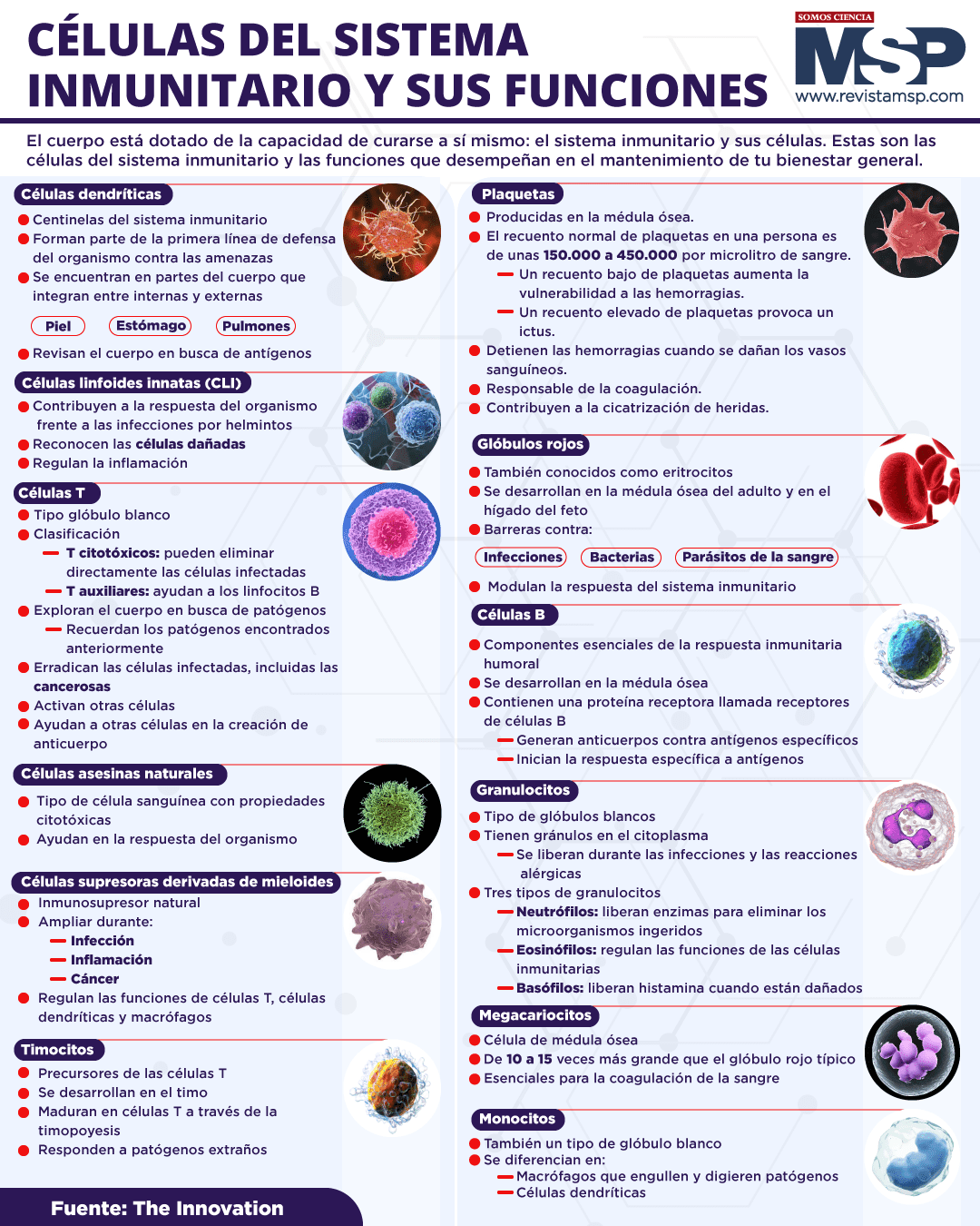 Células del sistema inmunitario y sus funciones - Infografía