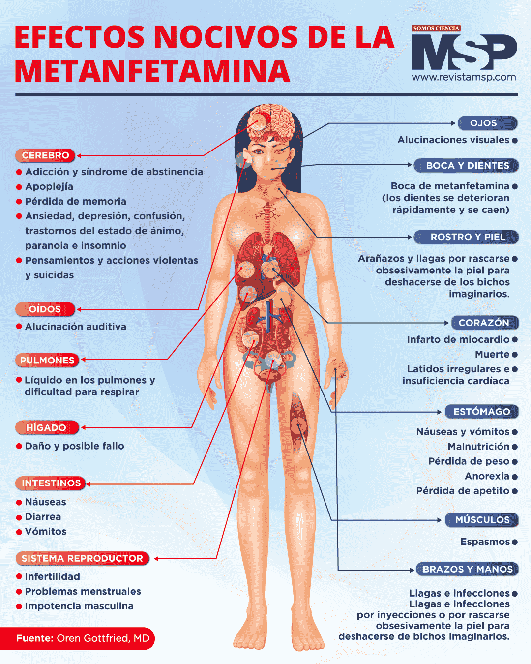 Efectos nocivos de la metanfetamina