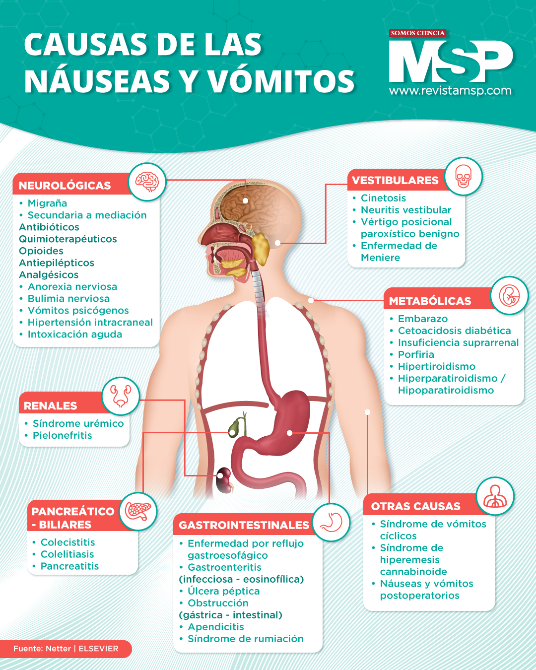 Causas de las náuseas y el vómito