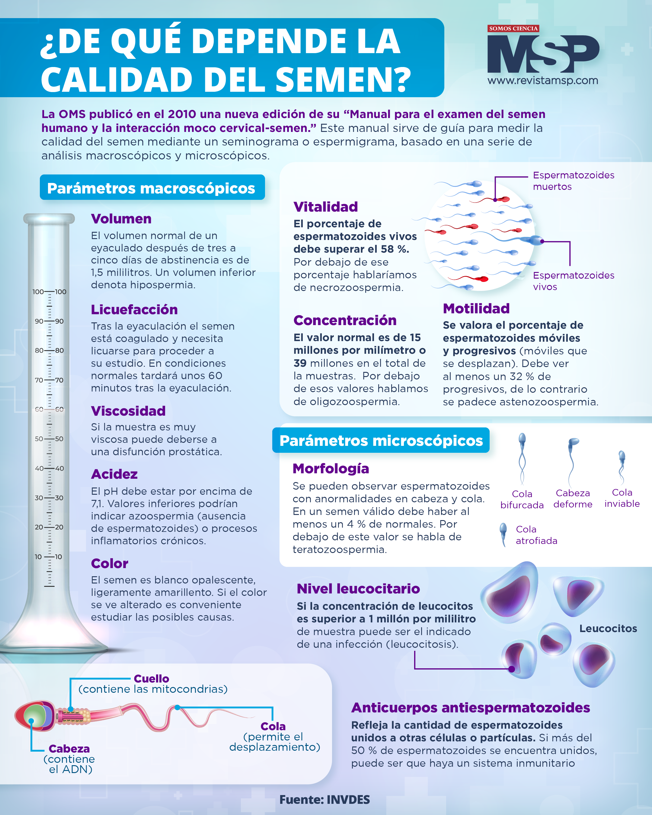 ¿De qué depende la calidad del semen?