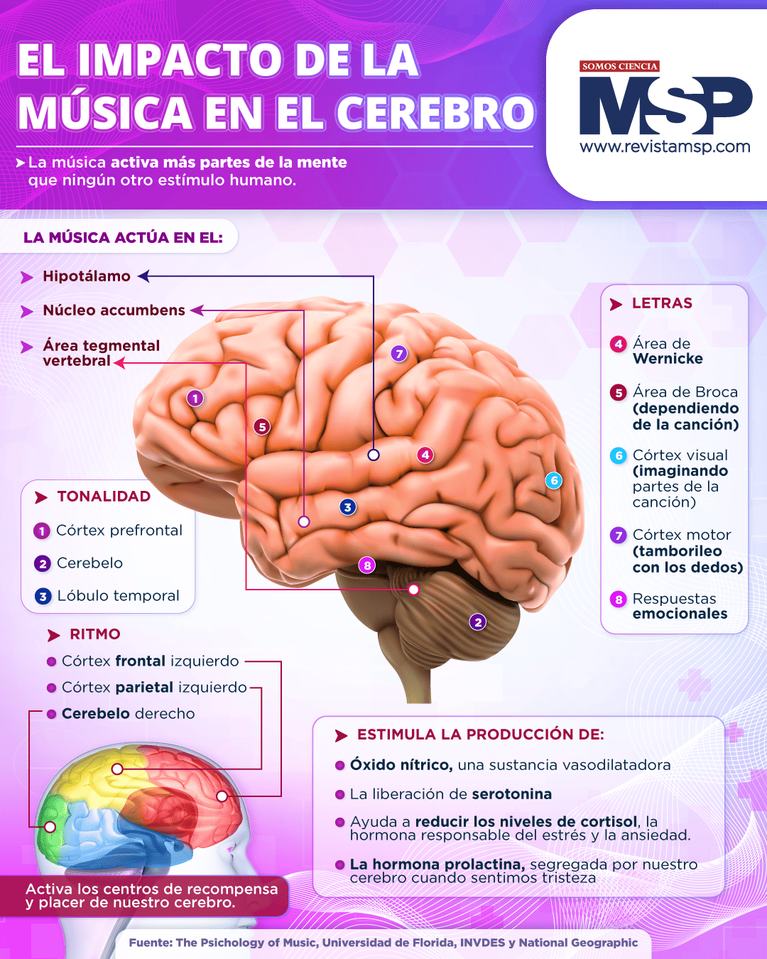 El impacto de la música en el cerebro