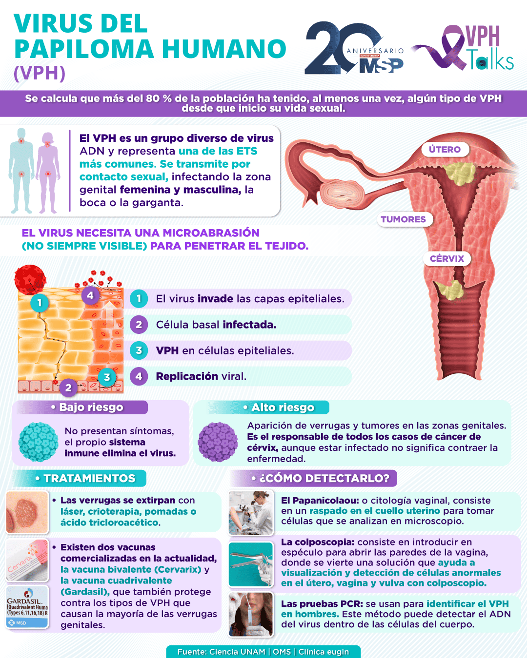 Virus del Papiloma Humano (VPH)