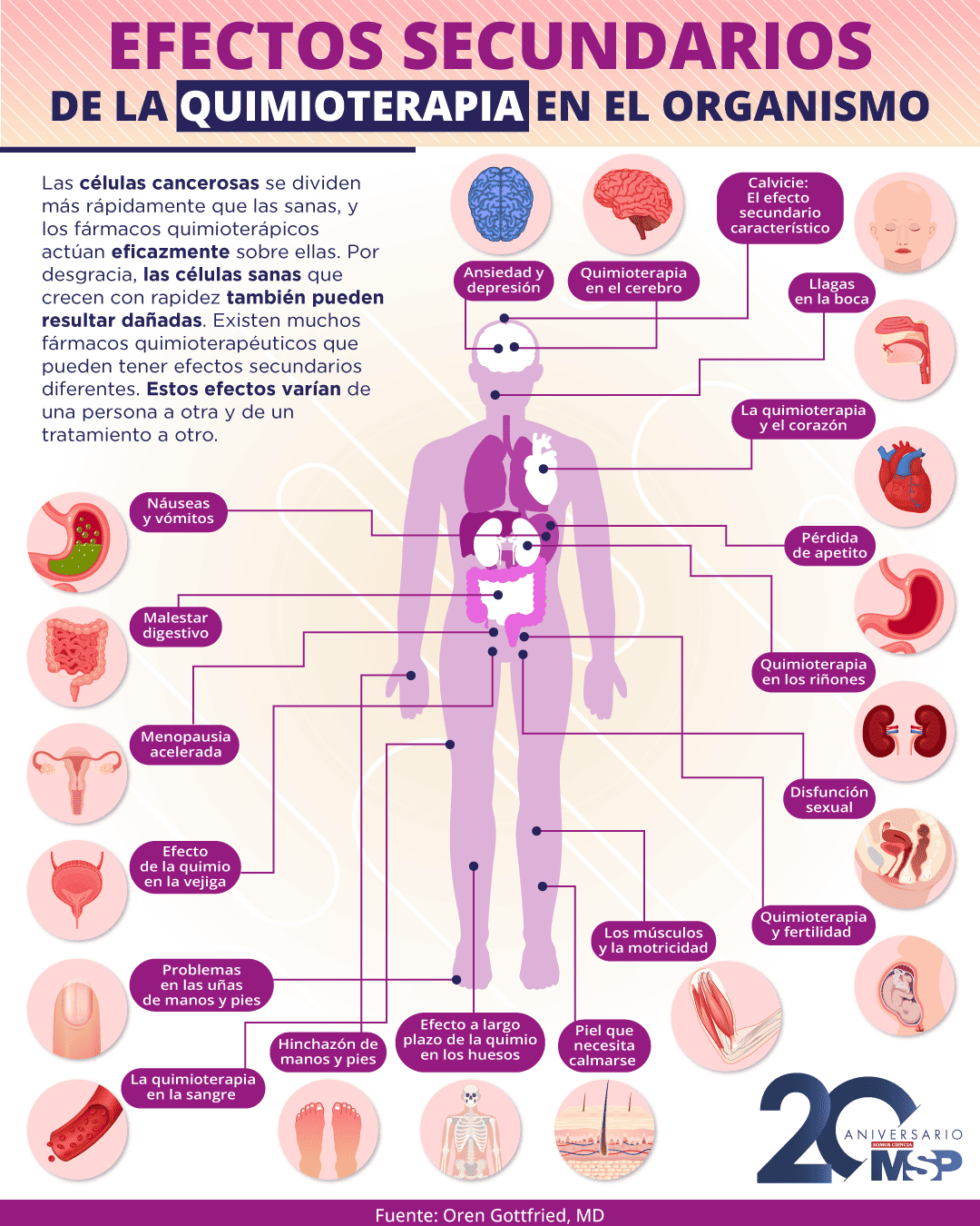 Efectos secundarios de la quimioterapia en el organismo