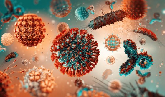Diferencias entre las Enfermedades Infecciosas - Infografías Diferencias entre las Enfermedades Infecciosas - Infografías