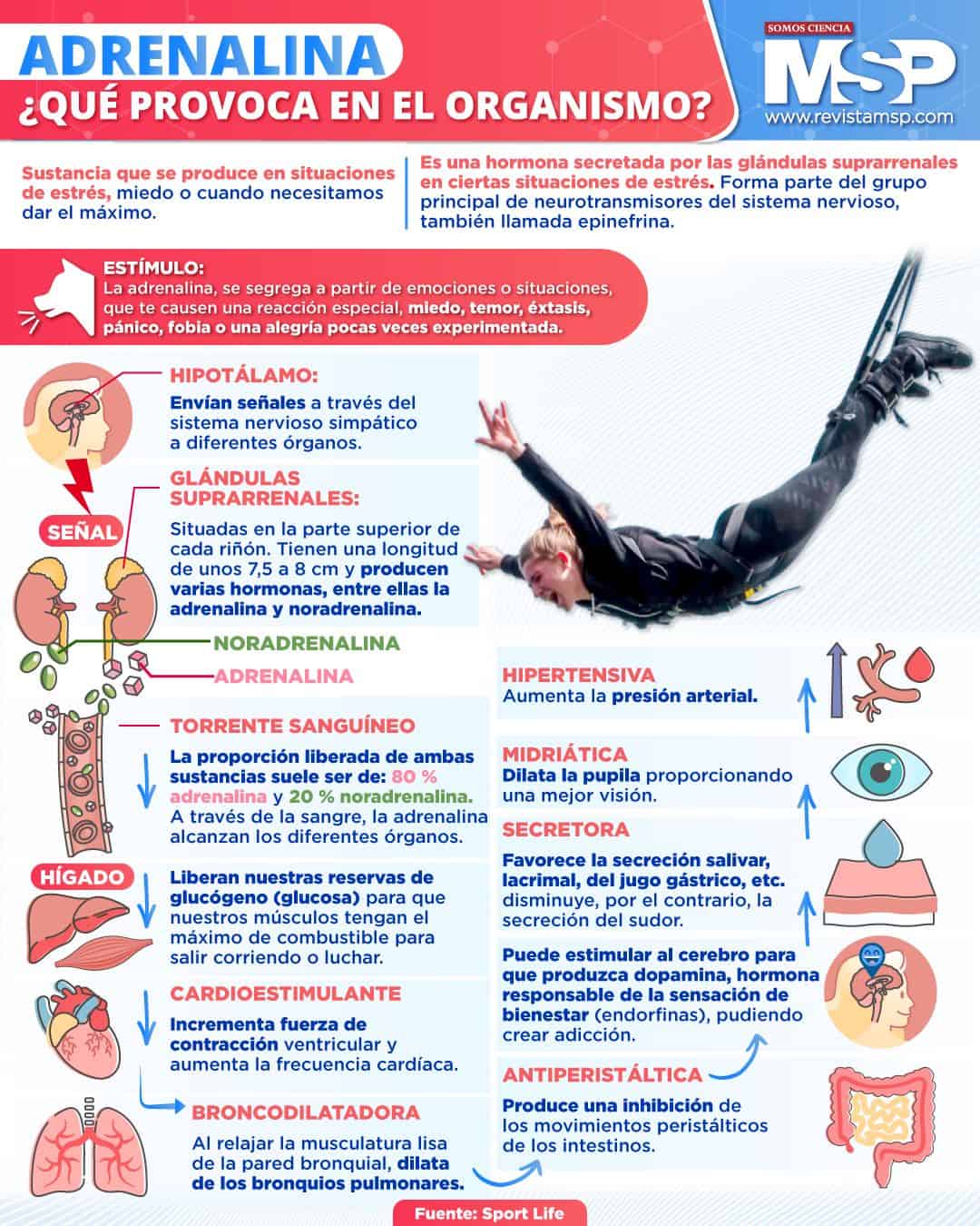 ADRENALINA